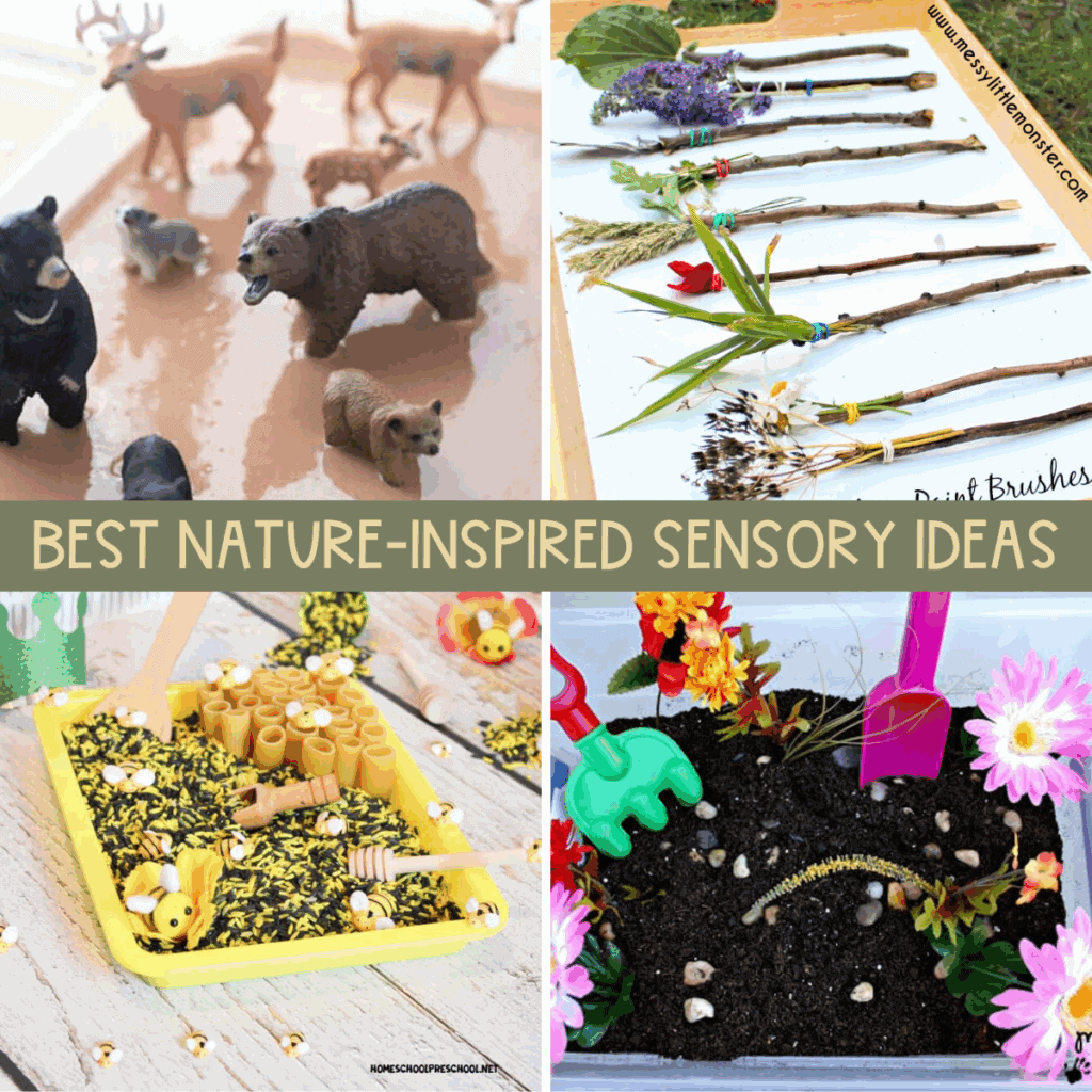 19+ Easy Nature Inspired Sensory Activities for Toddlers & Preschoolers ...